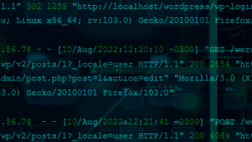 Types of Website & Server Logs You Need to Know in 2025